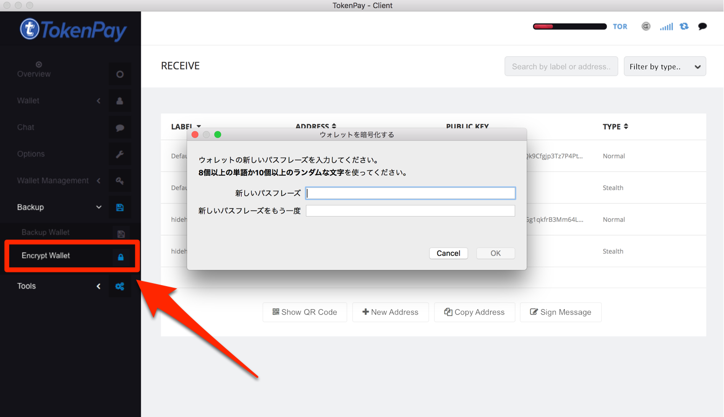 以外と知らない！？正しいTokenPay(トークンペイ)のウォレットの設定方法 | らいふーる